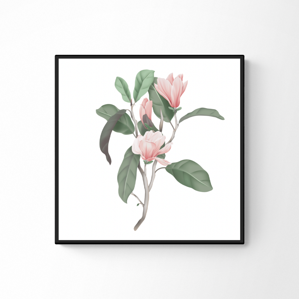 Pink Magnolia - DoseArt
